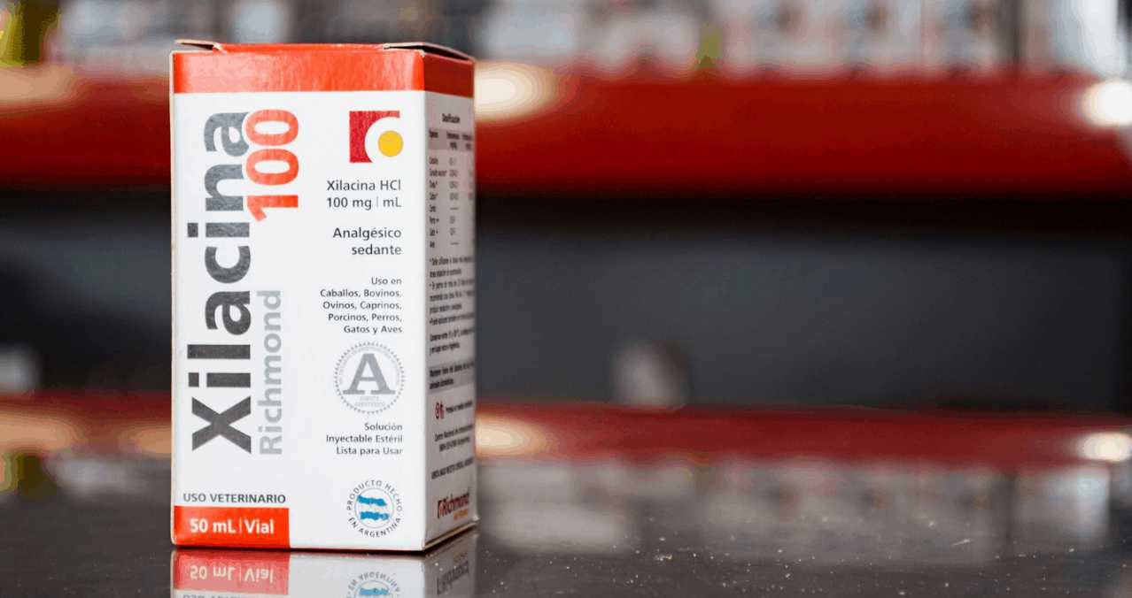 Xilacina: ¿por qué se considera tan peligrosa esta "droga zombie"?