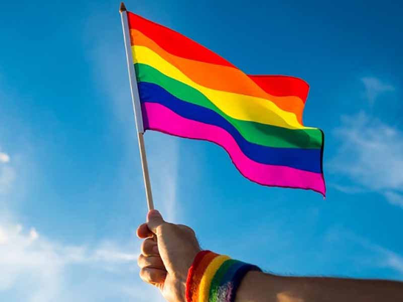 Homofobia, transfobia y bifobia: ¿Qué es y cómo denunciar?