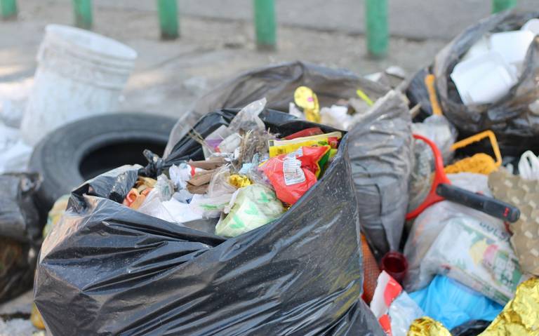 ¡No tires basura en las calles! A esto asciende la multa si lo haces en ...